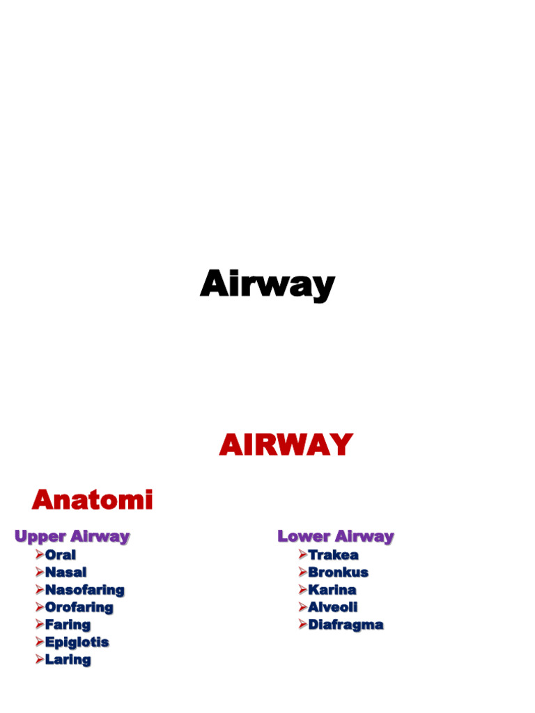 Airway | PDF
