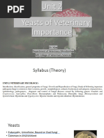 Cyniclomyces Guttulatus | PDF | Pathology | Dogs