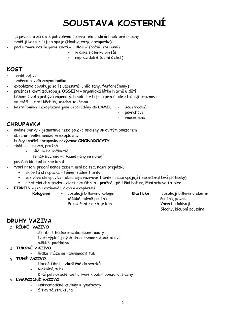 Kosterni Soustava Cloveka | PDF