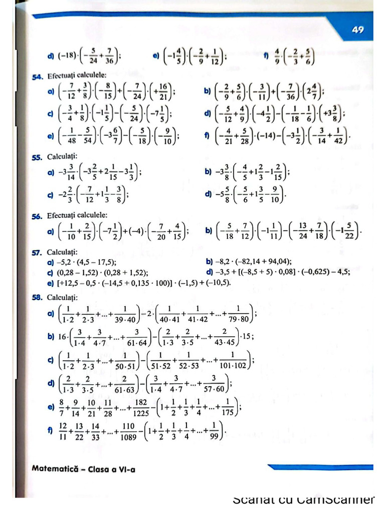 Portofoliu Numere Rationale | PDF