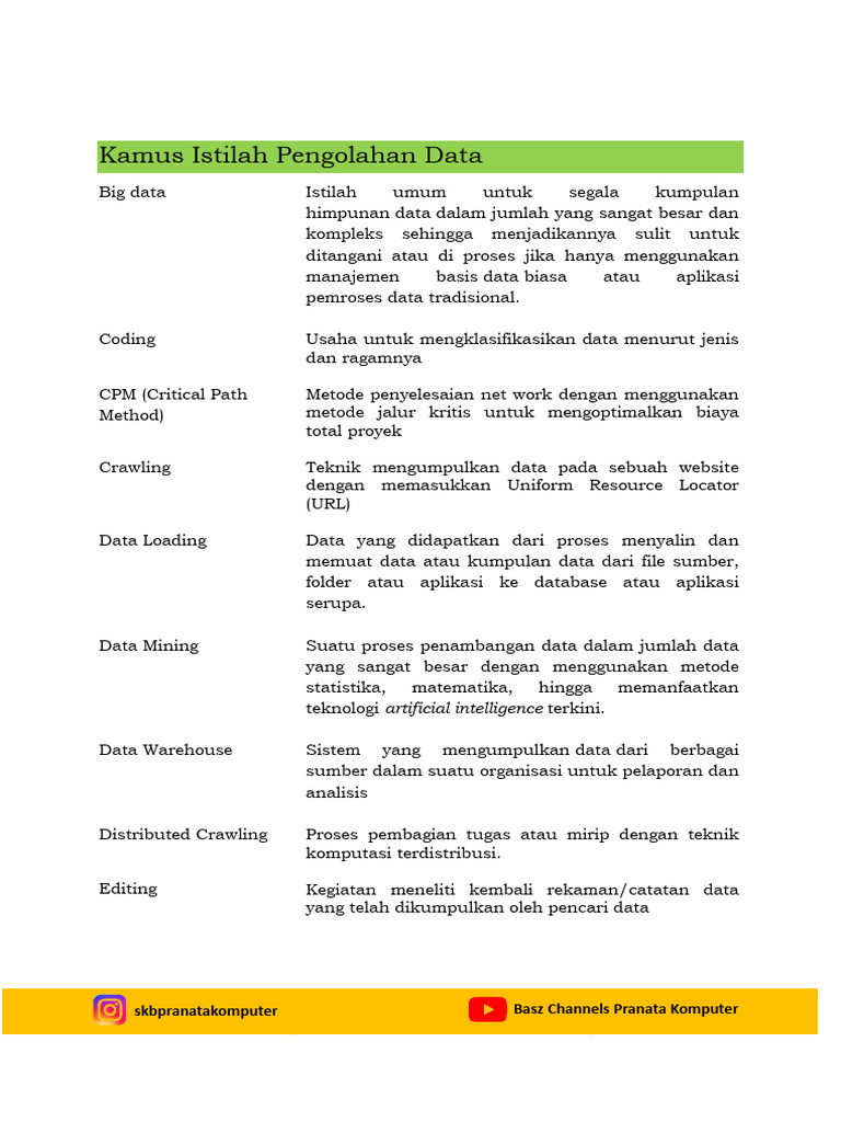 Kamus Pengolahan Data | PDF