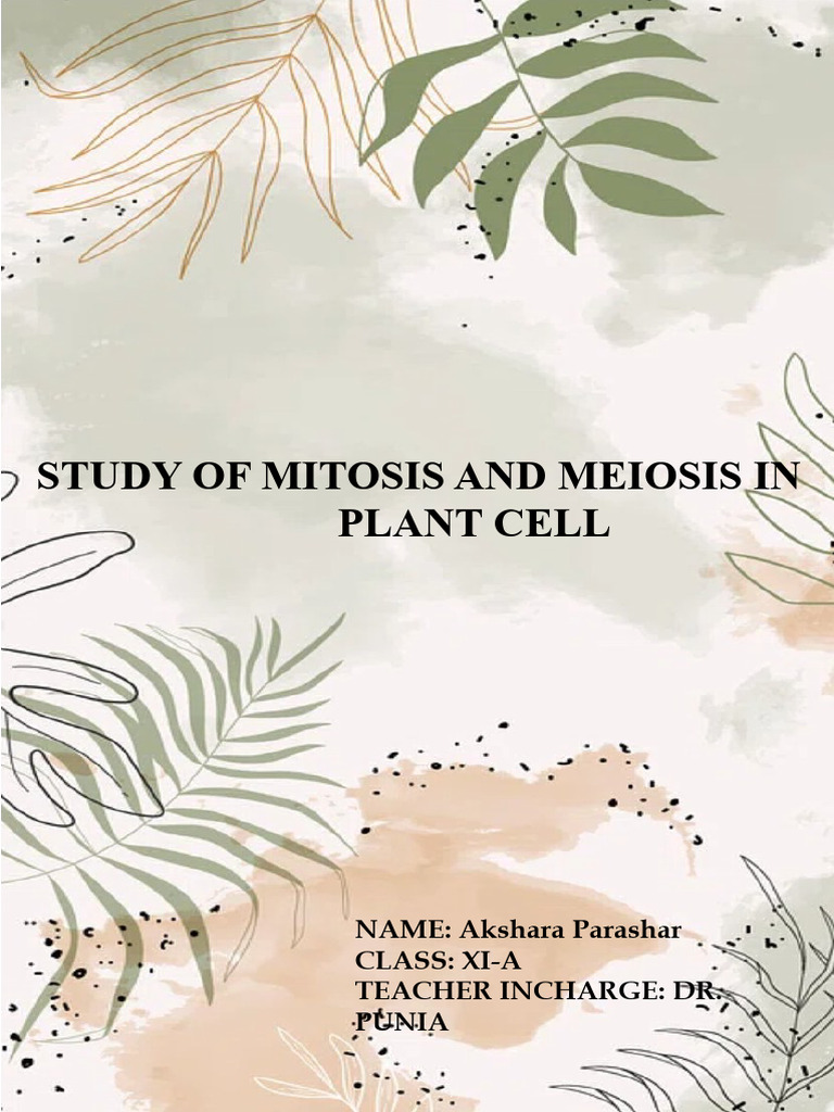 Study of Mitosis and Meiosis Biology Project | PDF | Meiosis | Mitosis