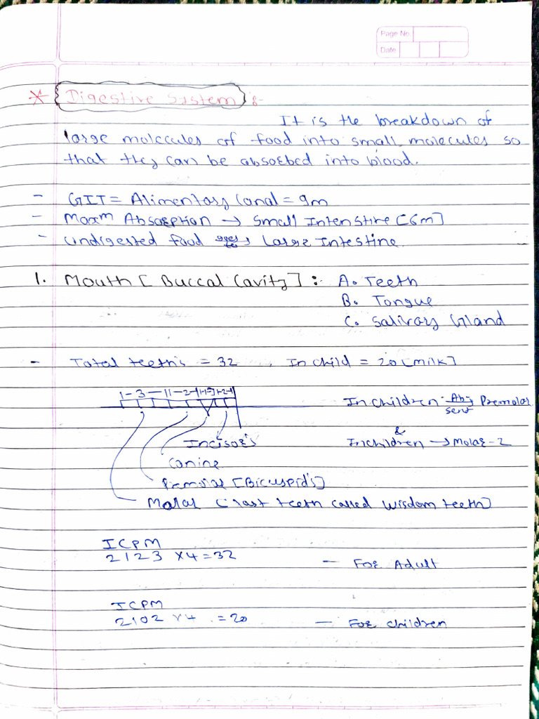 HAP EXcpt Skeletal | PDF