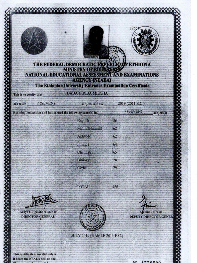 Grade 12 Entrance Certificate Copy | PDF