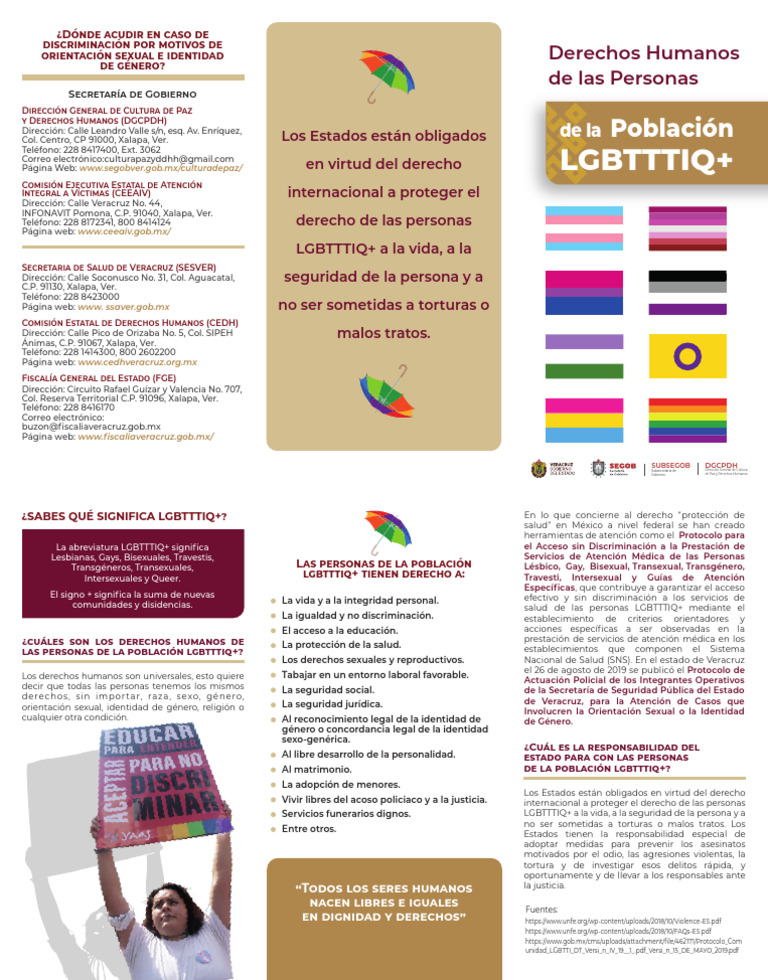Recursos para la Población LGBTTTIQ+ en Veracruz | PDF | Estudios ...