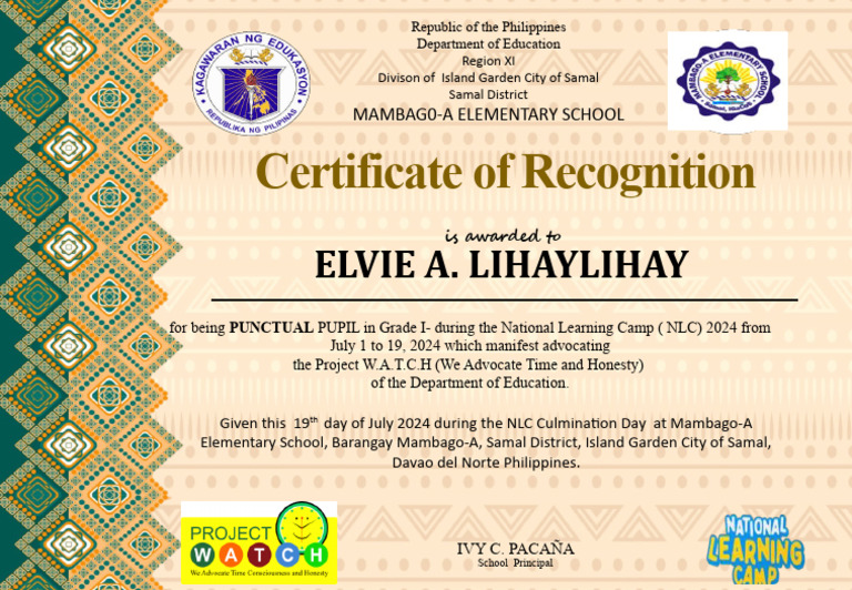 NLC Certificate Puntual | PDF