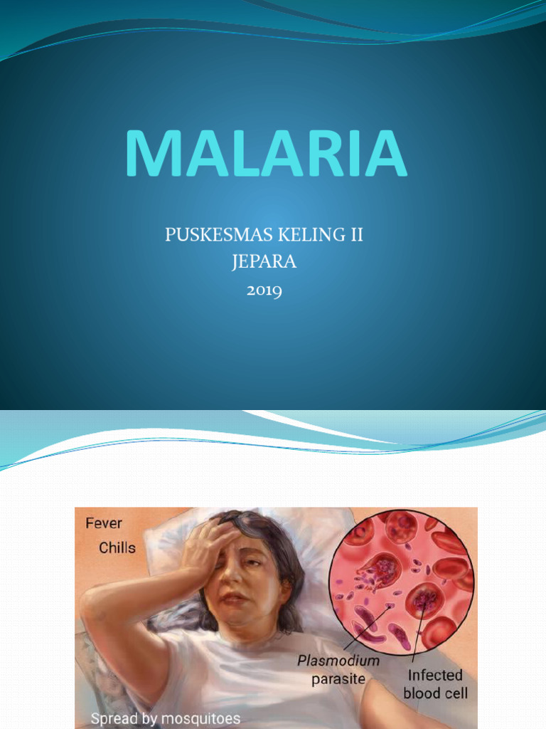 Presentasi MALARIA | PDF | Kesehatan Holistik | Sains & Matematika