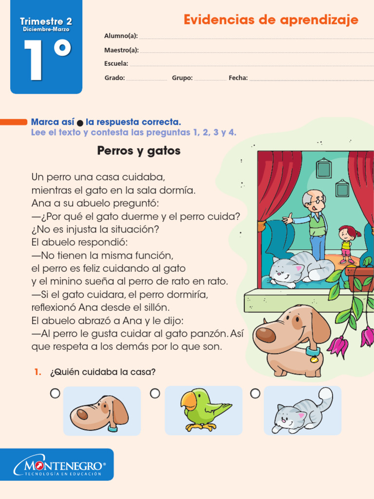 EV 1º Web T2 Esp | PDF