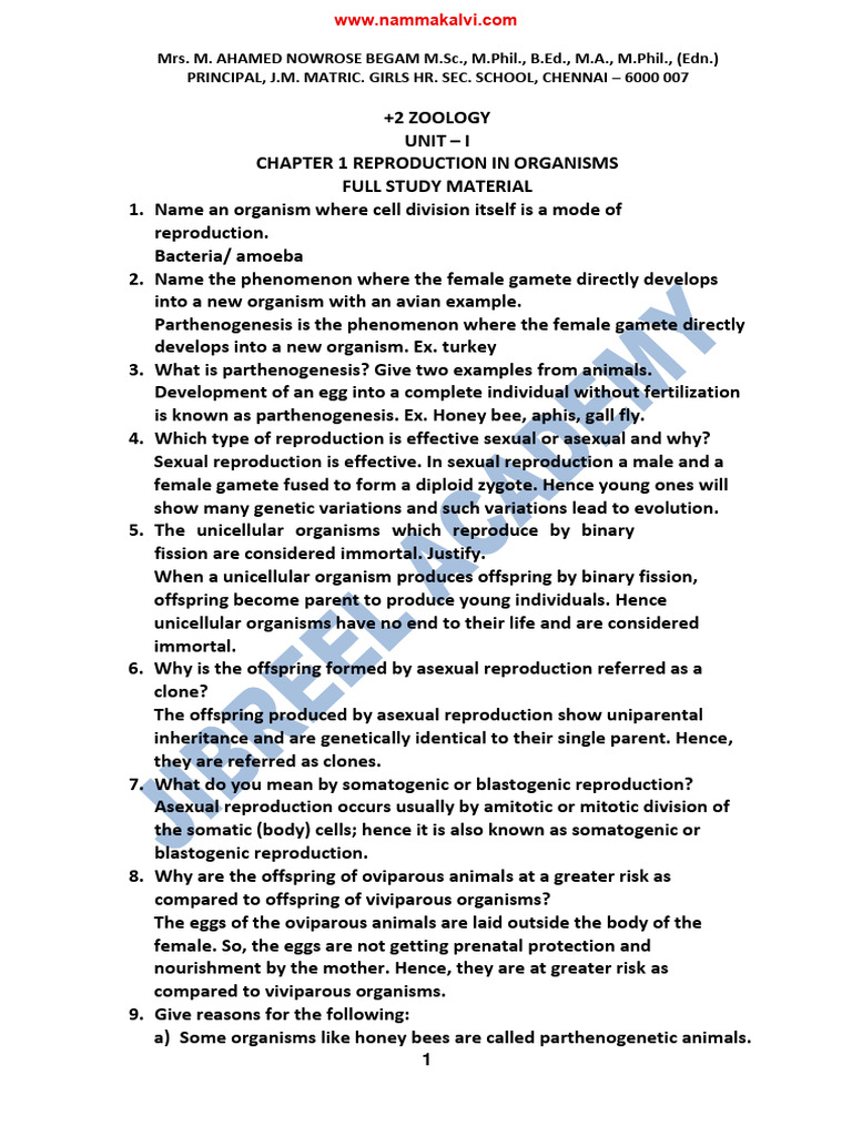 Namma Kalvi 12th Zoology Study Material English Medium 221082 | PDF | Menstrual Cycle ...