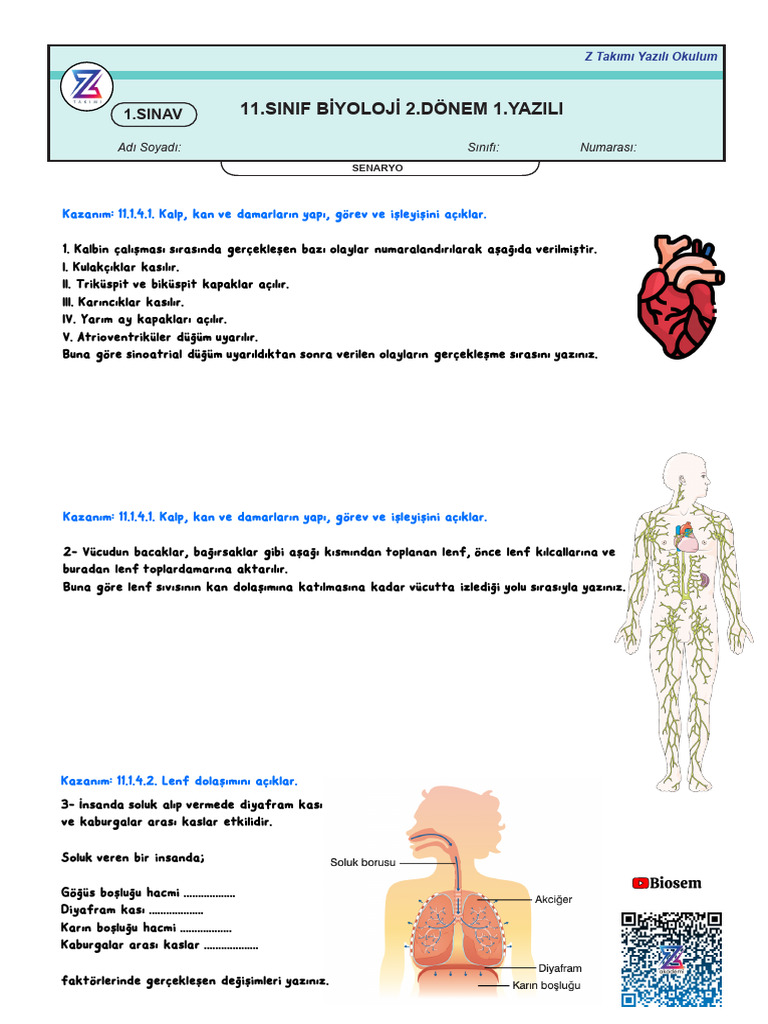 11.sinif Biyoloji 2.donem 1.yazili Sorulari PDF | PDF