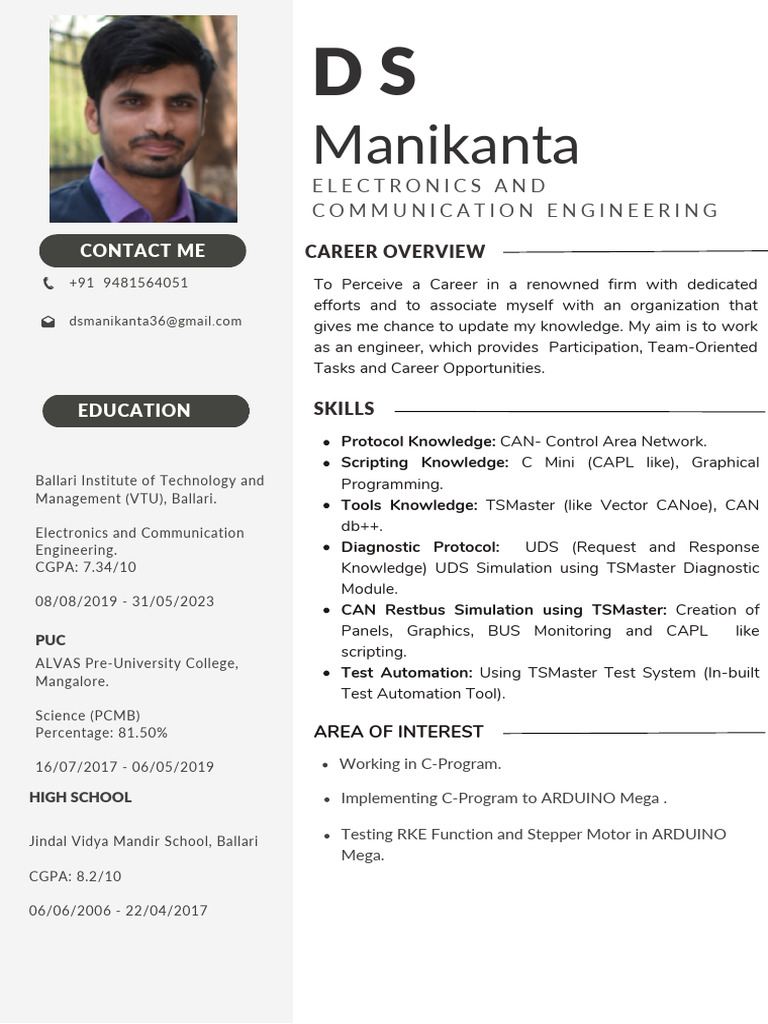 Professional Resume | PDF | Computer Engineering | Computing