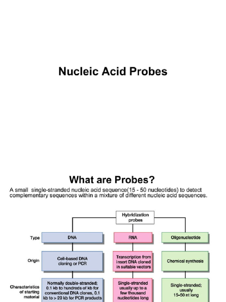 Nucleic Acid Probes & Hybridization - 20240630 - 174735 | PDF