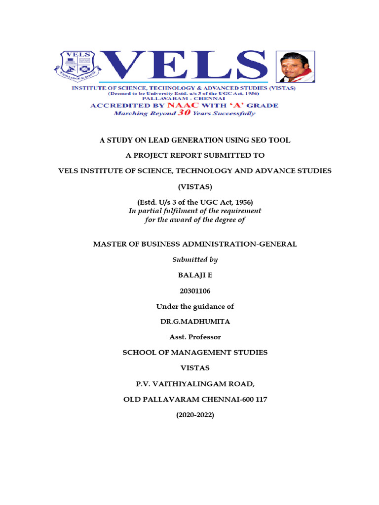 Project Report | PDF | Search Engine Optimization | Advertising