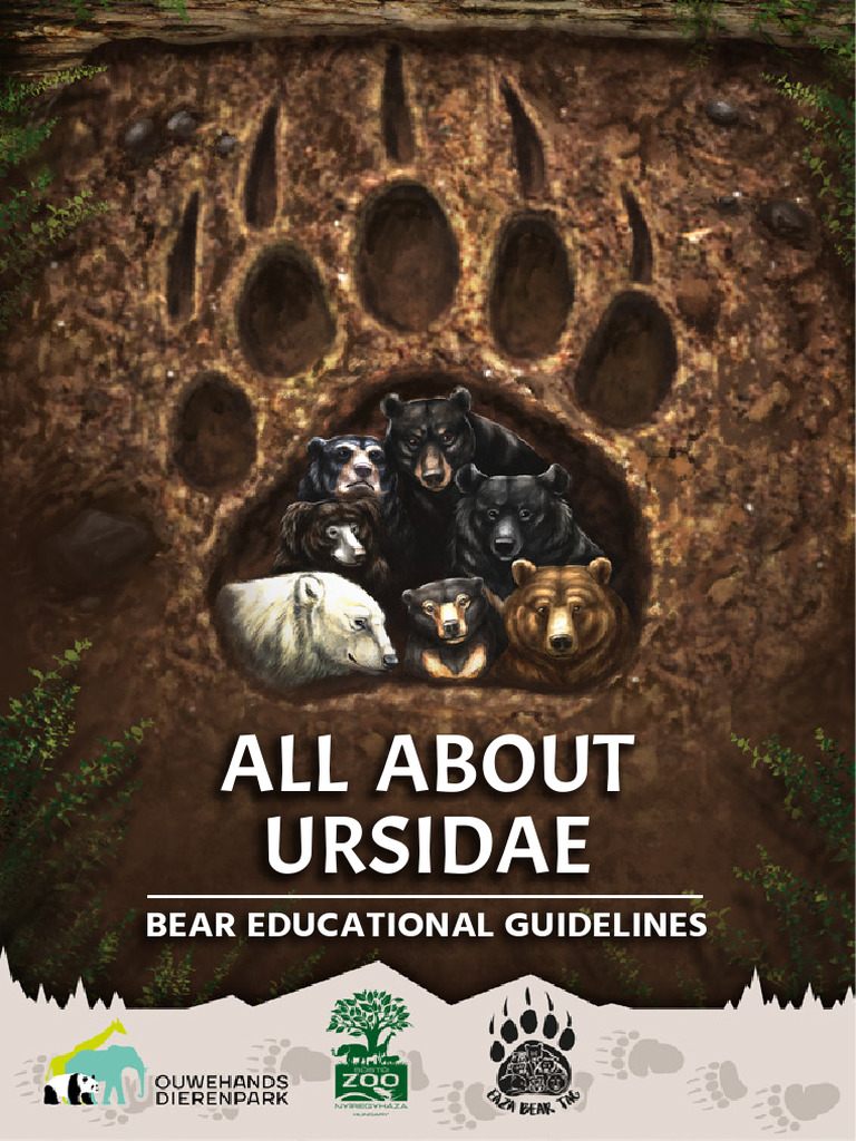Bear Educational Guidelines | PDF | Bears | Fur