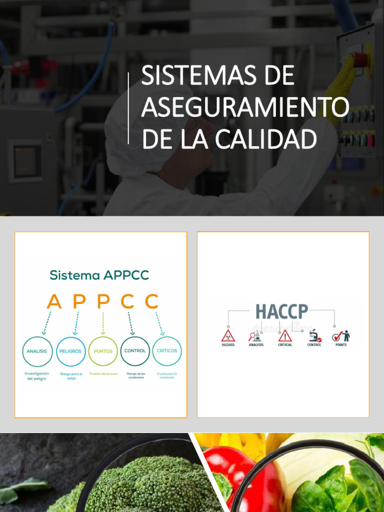 Clase 3 - Sistema Haccp | PDF | Análisis de Riesgo y Puntos Críticos de Control