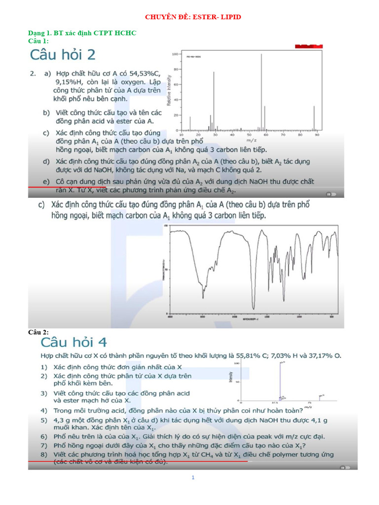 BAI 1. ESTER - LIPIT Hs | PDF