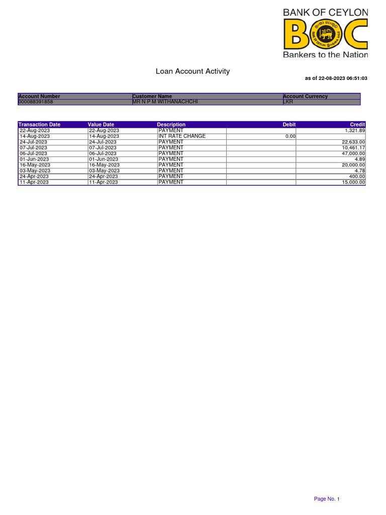 Loan Account Activity Summary | PDF