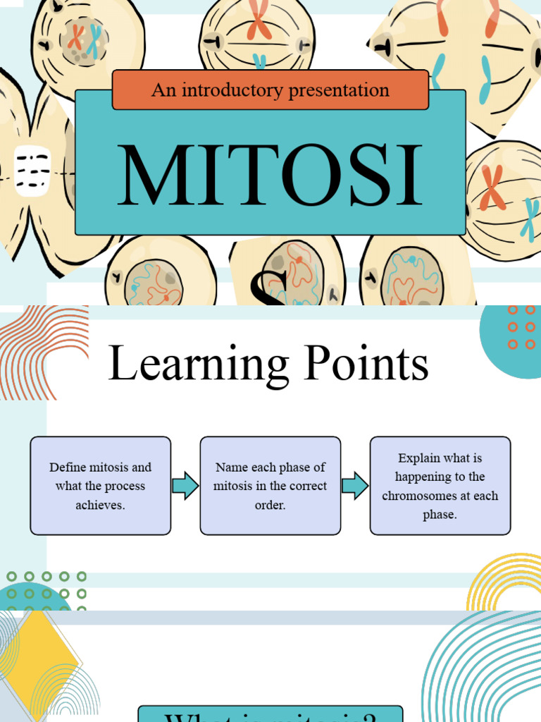 Mitosis Cell Division Biology Presentation in a Colorful Bold Style ...