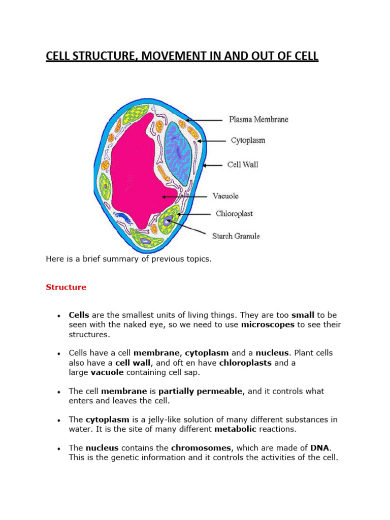 ppt bio CLASS 8 cell and ,Movement in AND out OF CELL (3) | Download ...