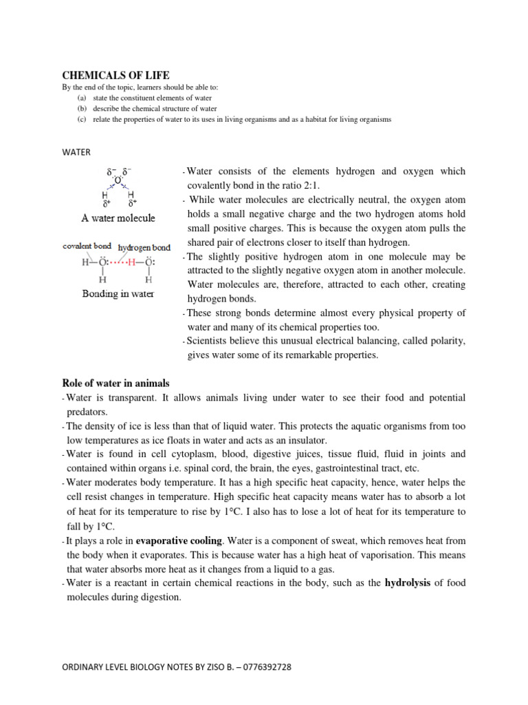 Chemicals of Life | PDF | Carbohydrates | Nucleic Acids
