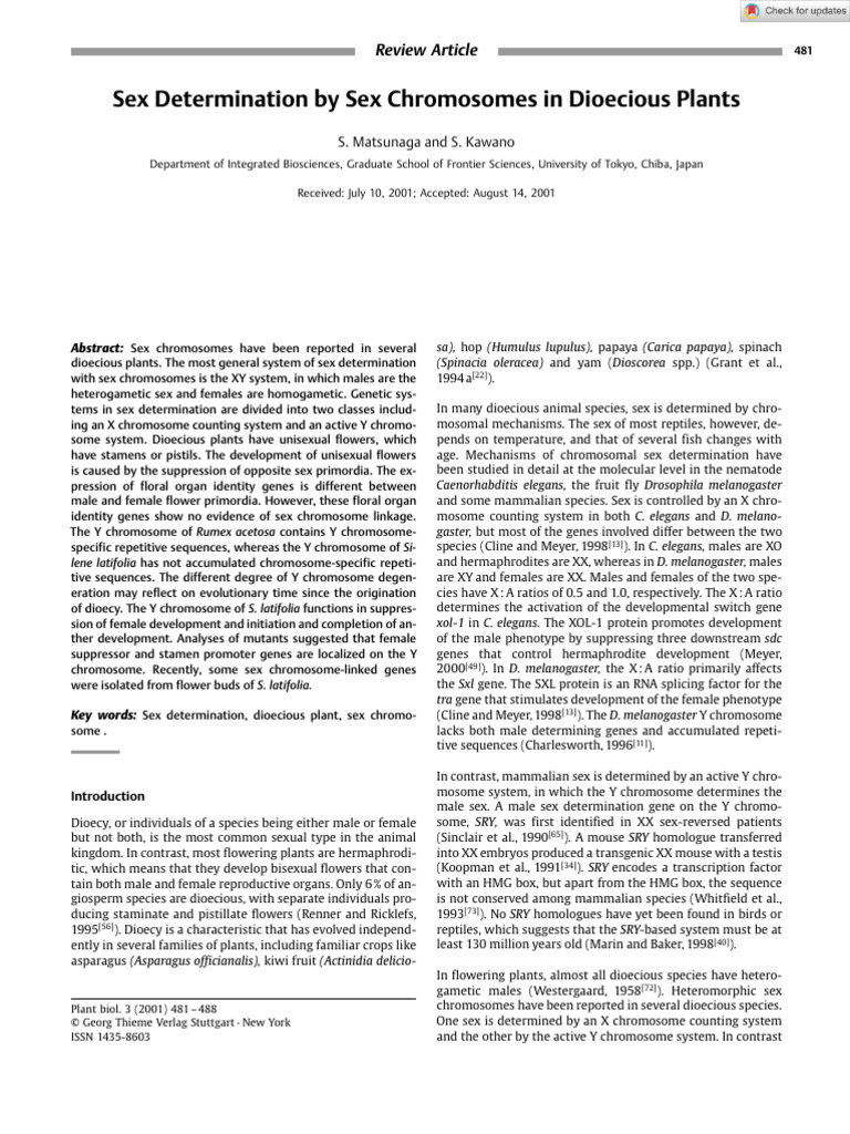 Sex Determination By Sex Chromosomes In Dioecious Plants Pdf Sex Flowers