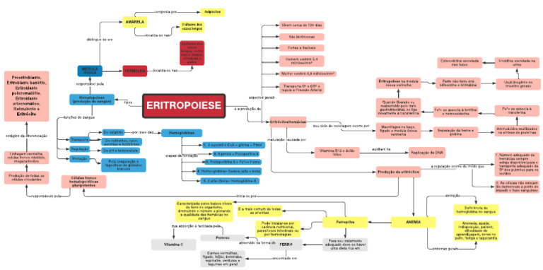 Mapa Mental Eritropoiese e anemia ferropriva | PDF | Hemácia | Sangue
