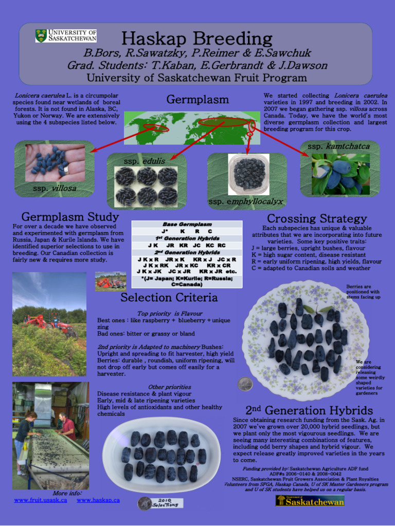 Haskap Breeding 2011 Final | PDF | Berry | Plants