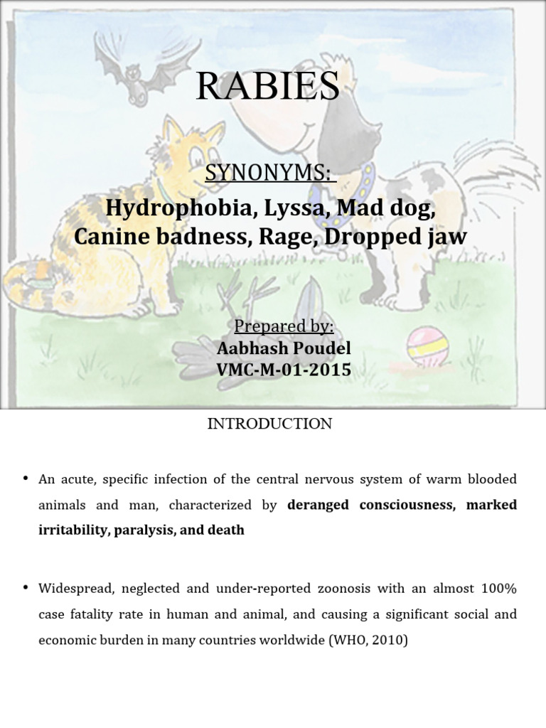 1 - Rabies | PDF | Rabies | Vaccines
