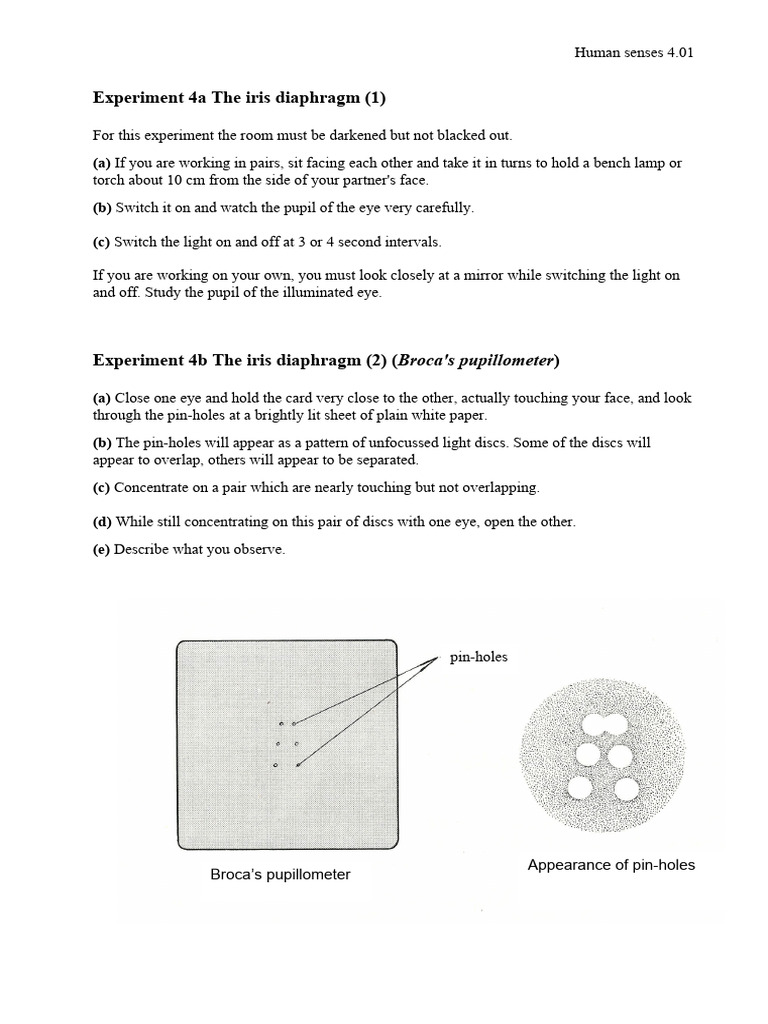 Exploring Iris Diaphragm Experiments | PDF | Language Arts & Discipline ...