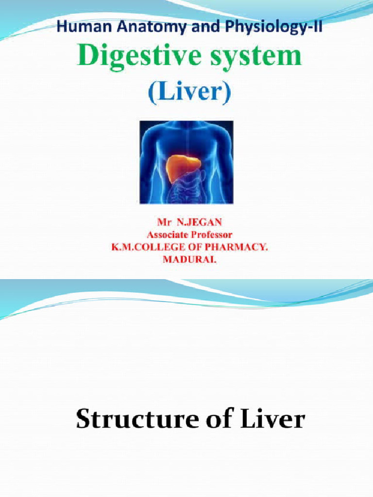 Structure and Functions of Liver 238054240 | PDF
