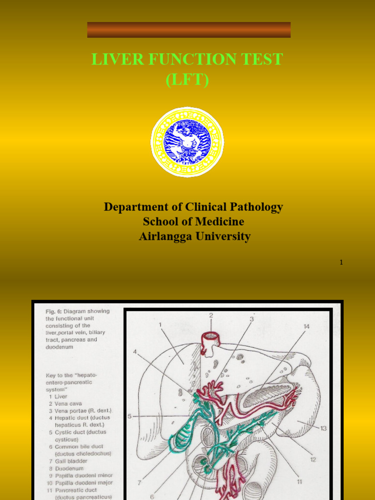 15, 18. Liver Function Test | PDF | Alanine Transaminase | Cirrhosis