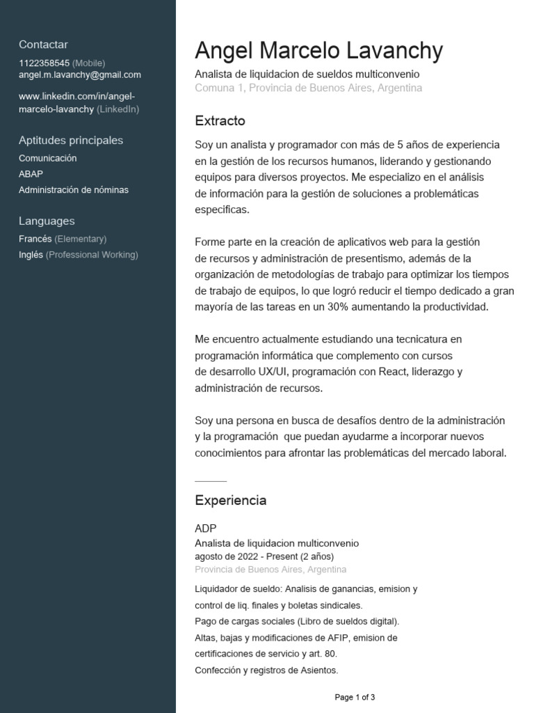 CV Angel Lavanchy | PDF | Business