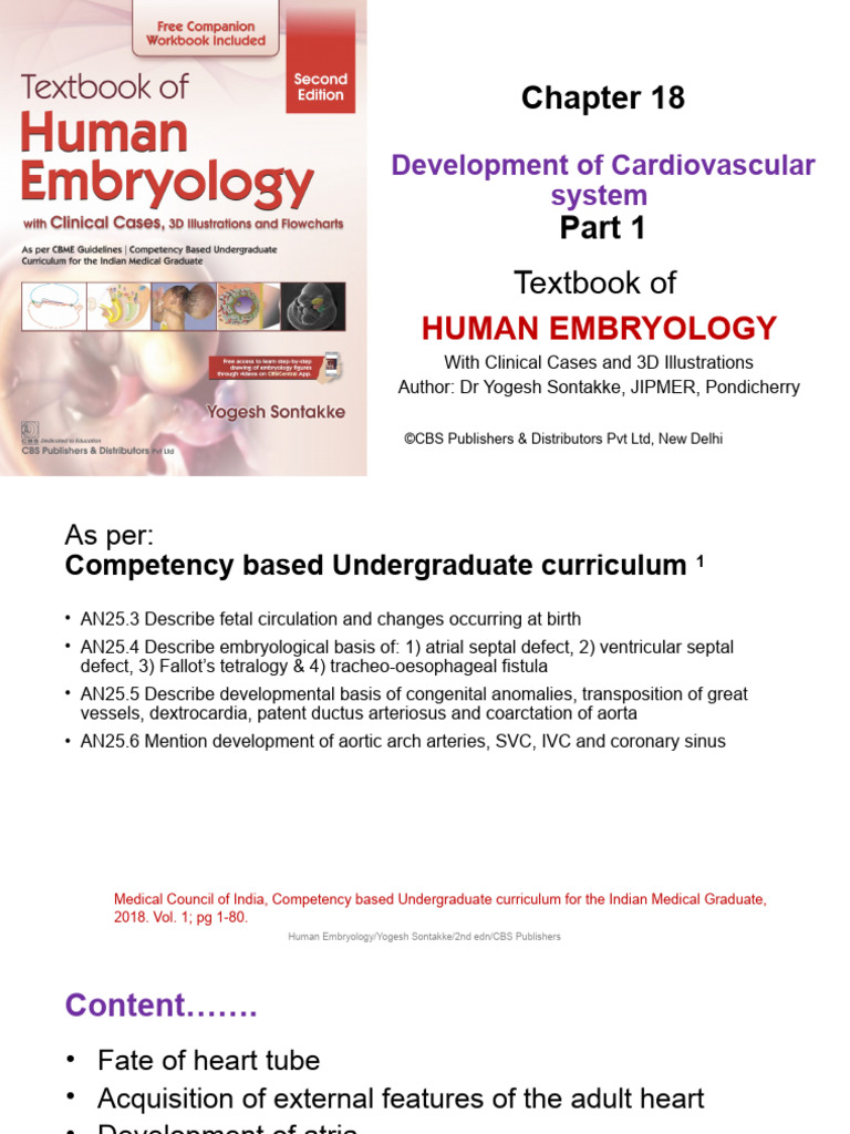Chapter 18 Cardiovascular System I Development of Heart | PDF | Heart ...