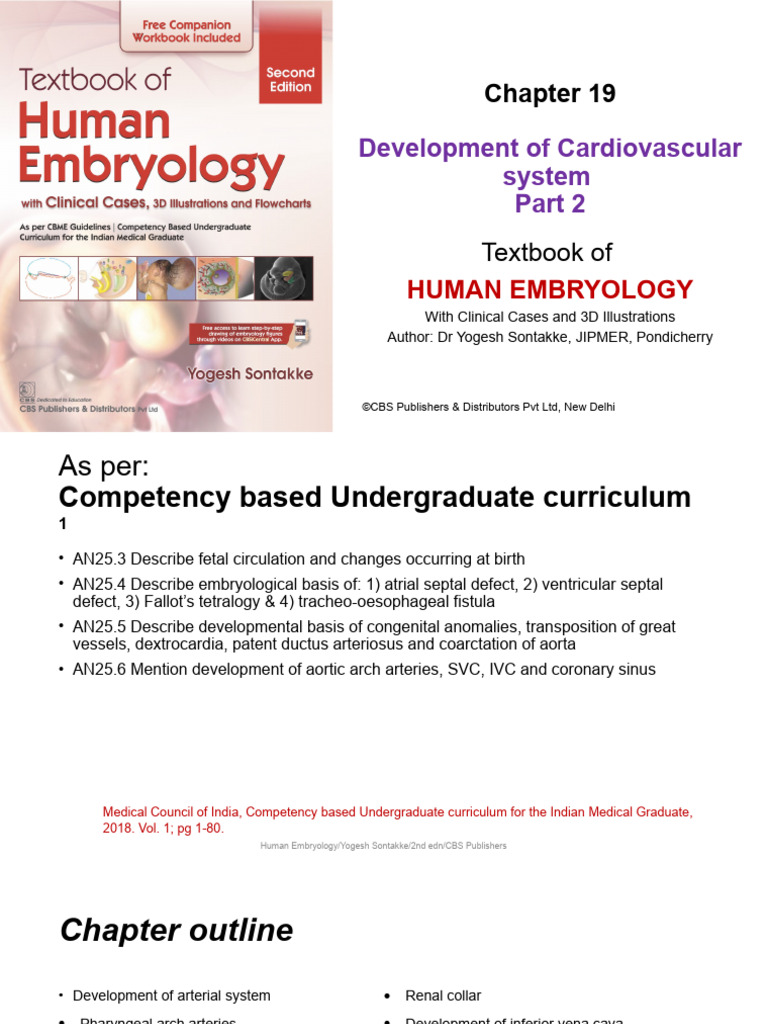Chapter 19 Cardiovascular System II Blood Vessels and Fetal Circulation ...