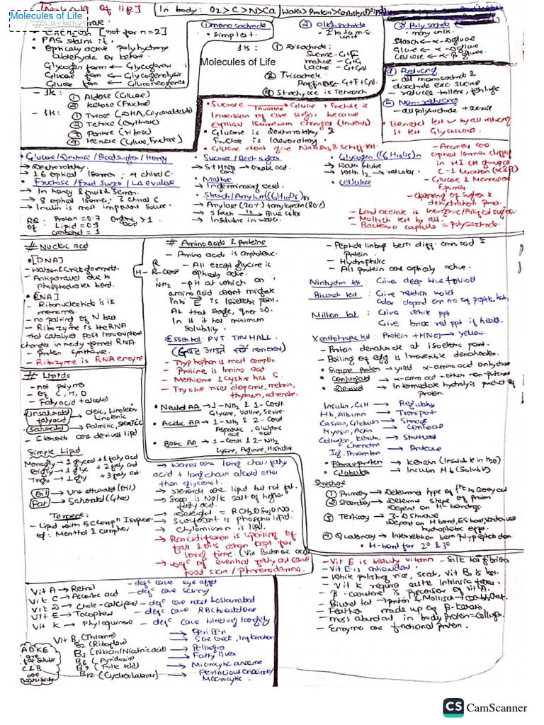 Condensed Notes Aditya-1 | PDF | Carboxylic Acid | Chemical Substances