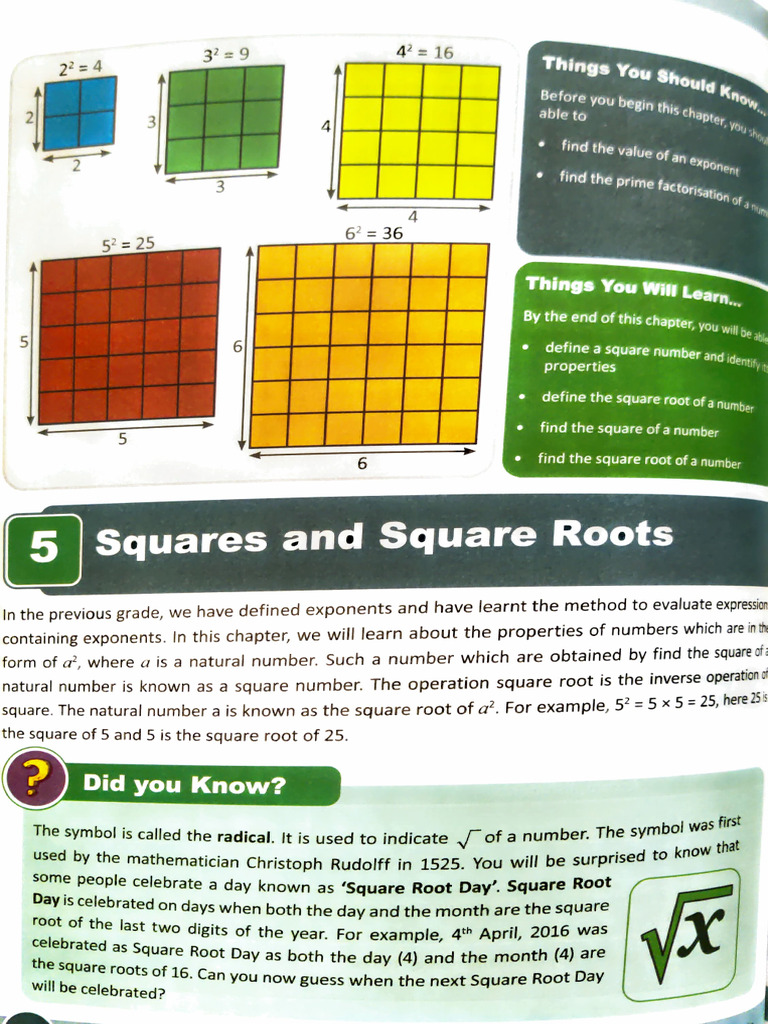 Square and Square Roots Grade 8 | PDF | Factorization | Euclidean Plane ...
