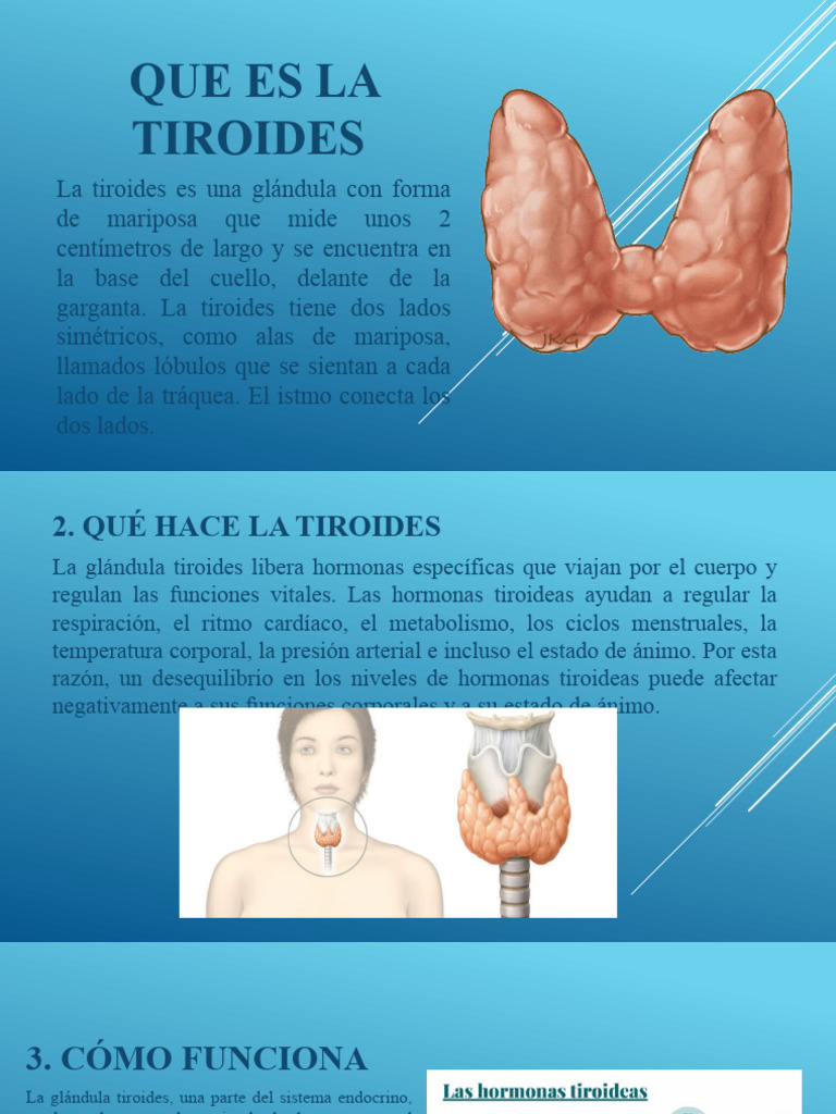 PPT TIROIDES | PDF