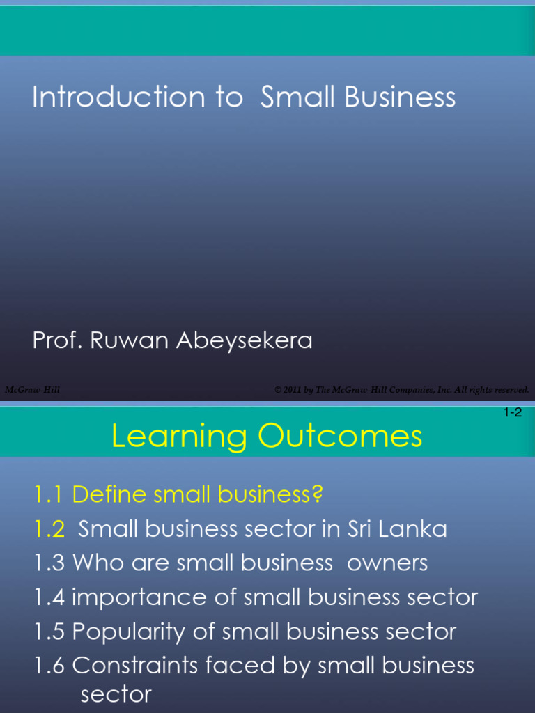 2 - Introduction To Small Businesses | PDF | Entrepreneurship | Employment