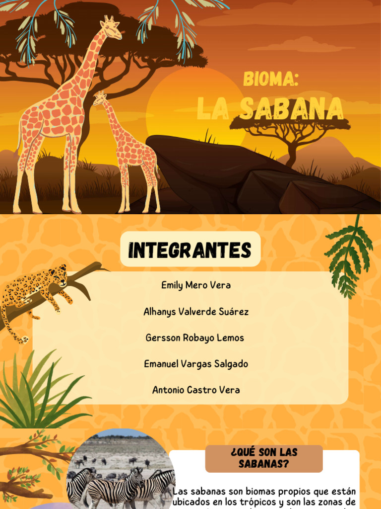 Características y conservación de la sabana | PDF | Sabana | Zona tropical