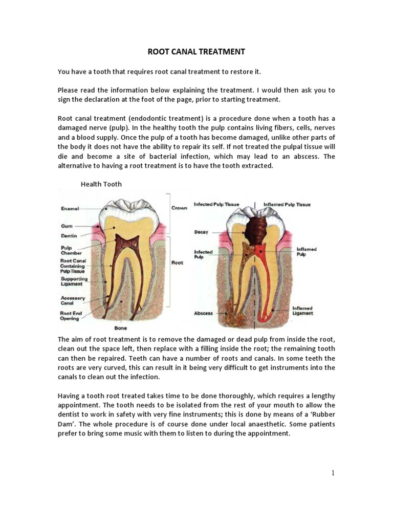 Endo Consent Form | Download Free PDF | Dentistry Branches | Mouth