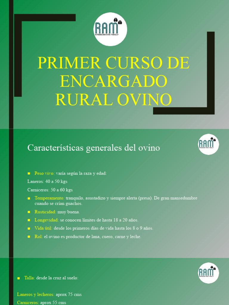 Presentacion Curso Encargado Rural Ovino | PDF | Oveja | Alimentos