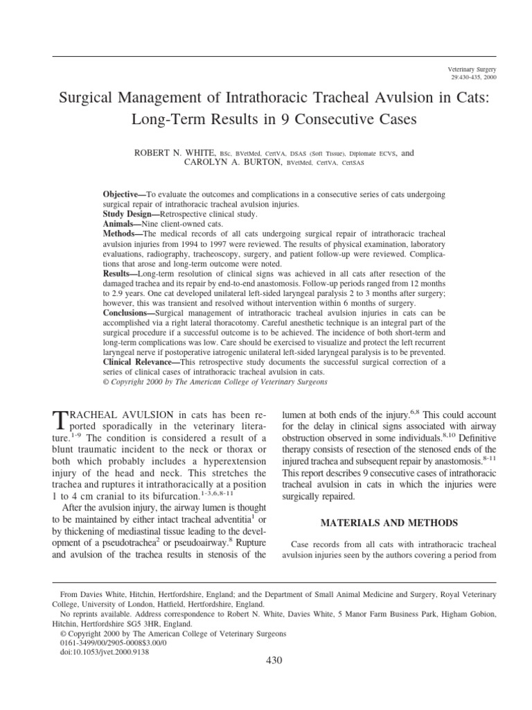 Surgical Management of Intrathoracic Tracheal Avulsion in Cats Long ...