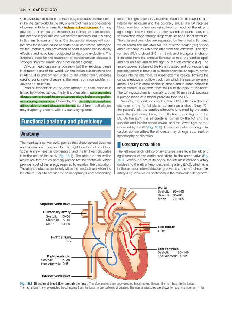 Davidson - Anat. Physio. & Invest. of Heart | PDF | Atrium (Heart) | Heart