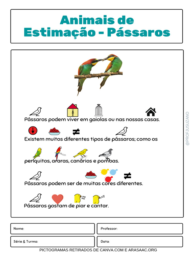 Atividades - Pássaros CAA | PDF