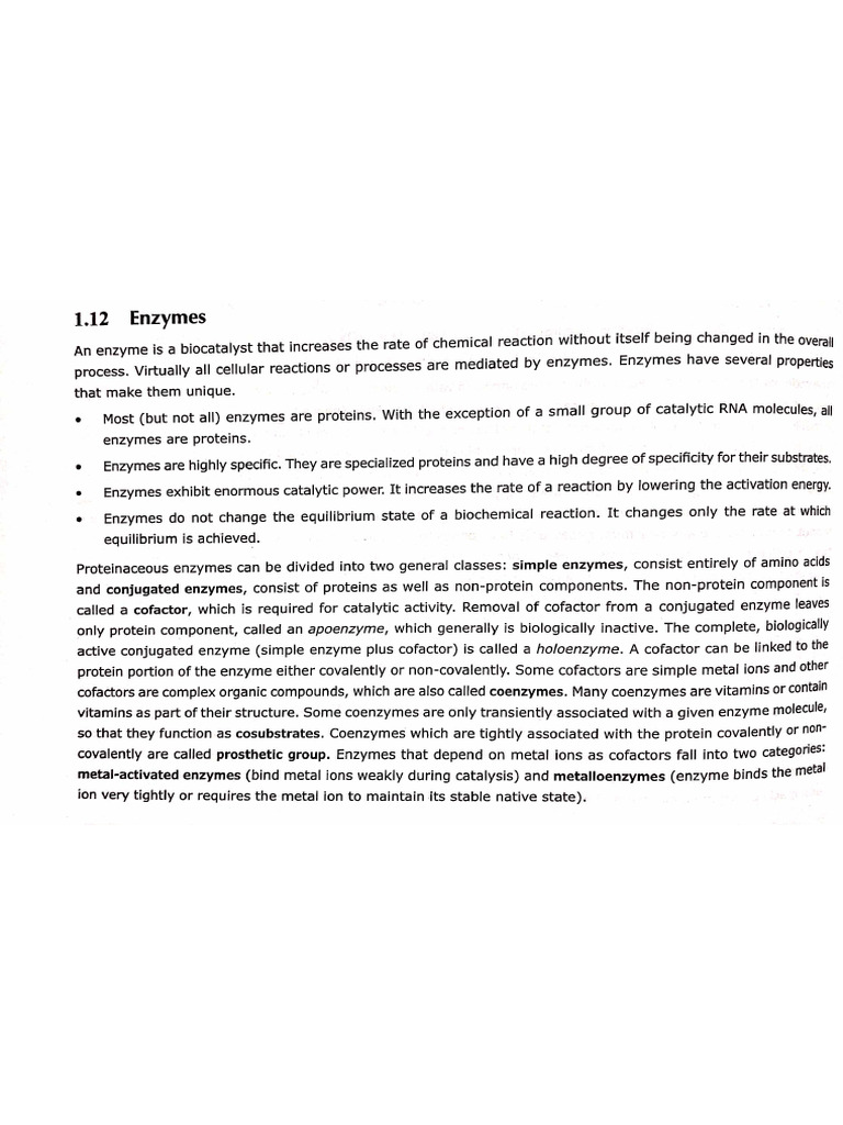 Enzyme Notes | PDF