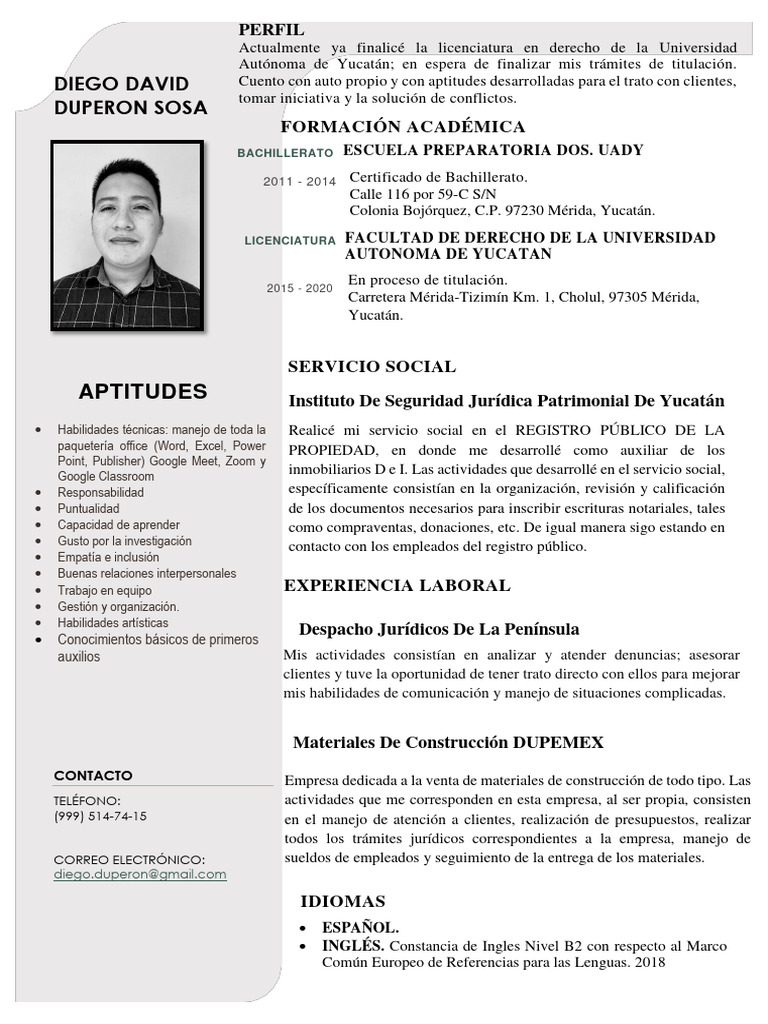 CV Diego David Duperon Sosa | PDF