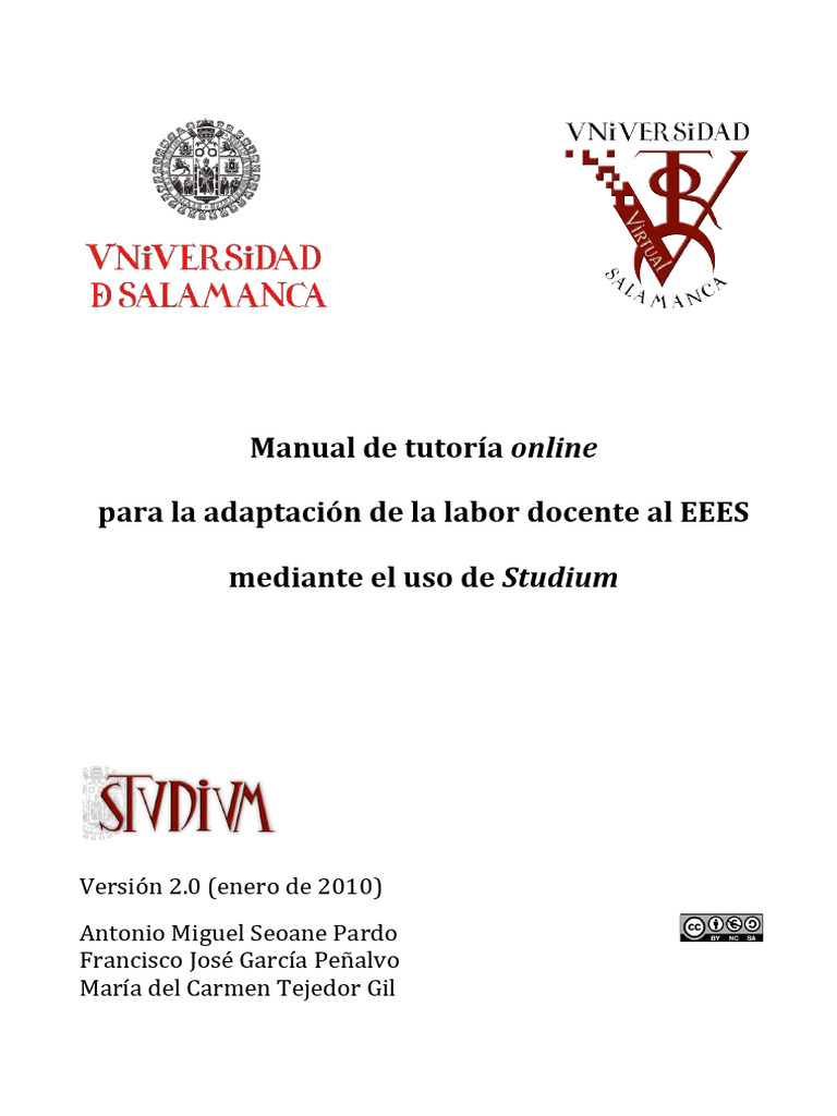 Manual Tutoria Studium | PDF | Maestros | Evaluación