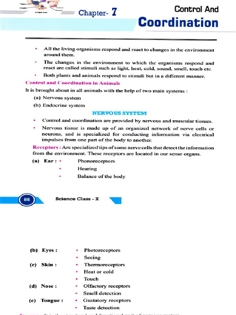 control and coordination (2) | Download Free PDF | Nervous System | Hormone