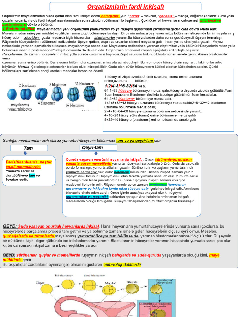 Ontogenez | PDF