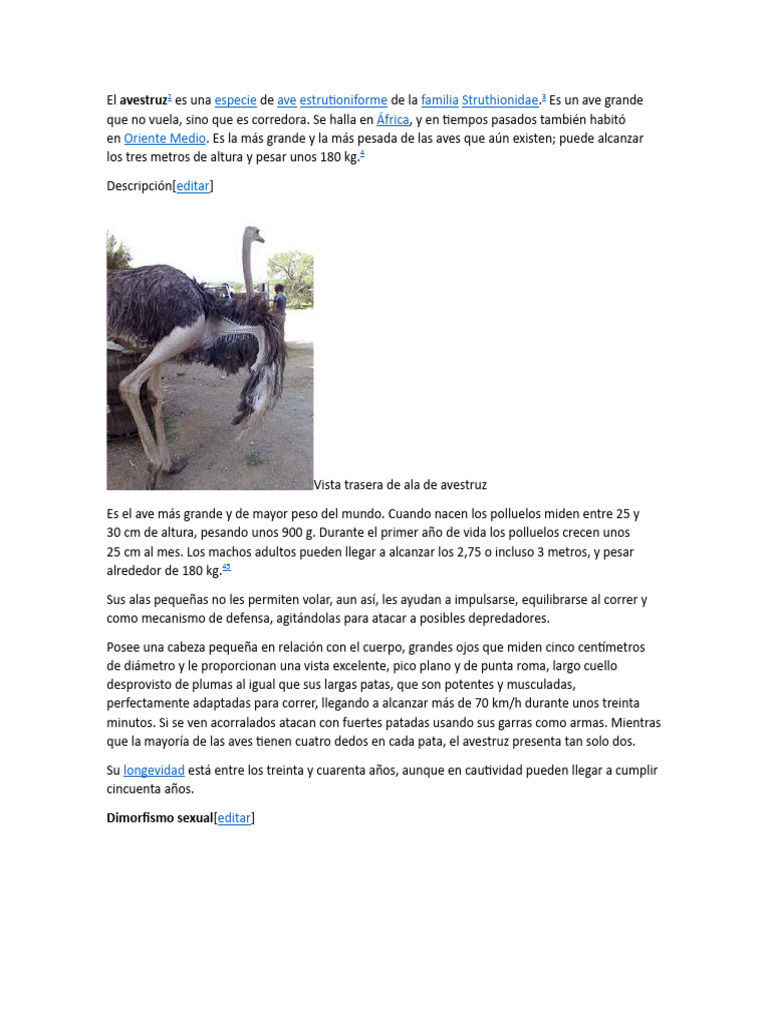 AVESTRUZ | PDF | Zoología | Aves